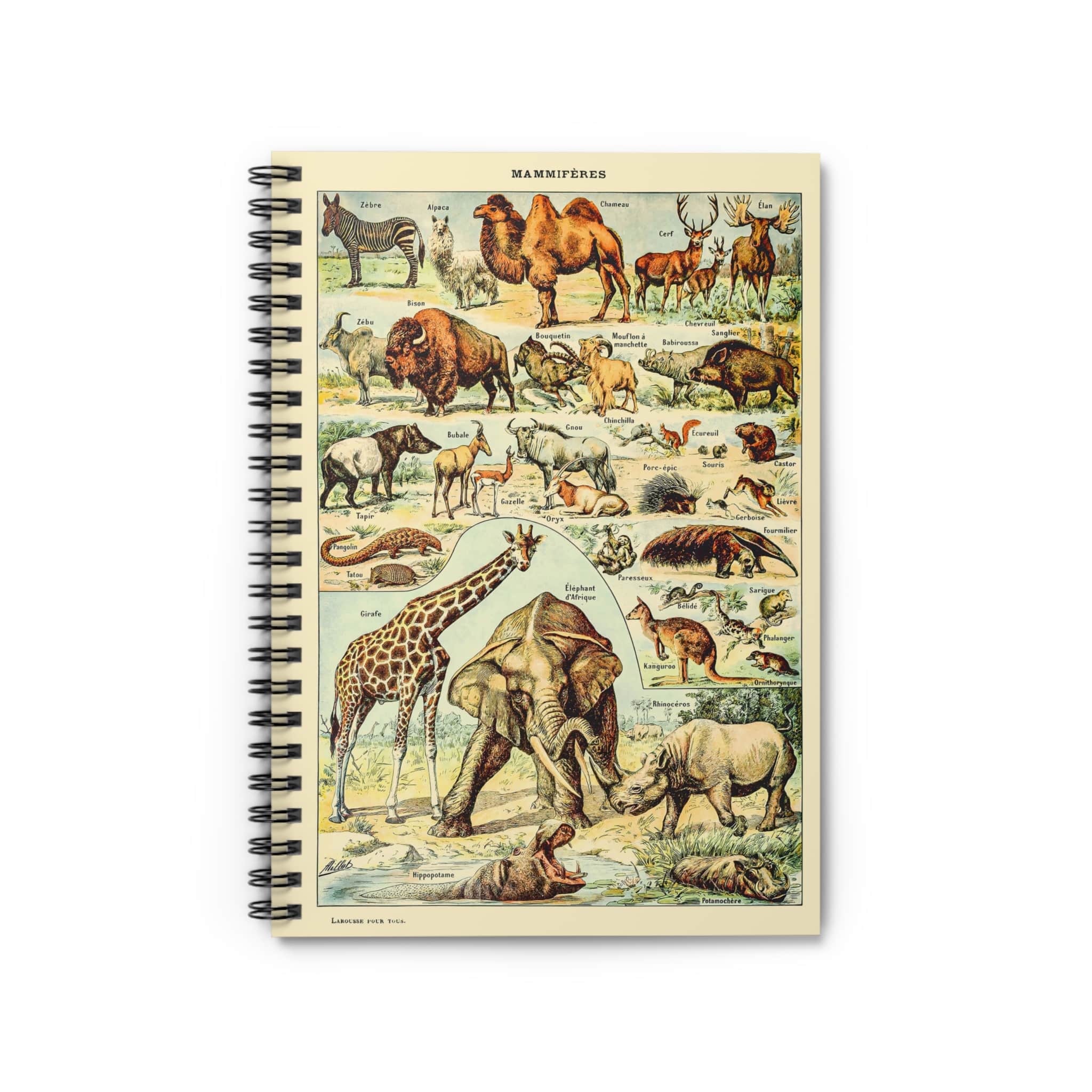 Wild Animals Notebook | Safari Animal Chart Cover | Journals & Planner ...